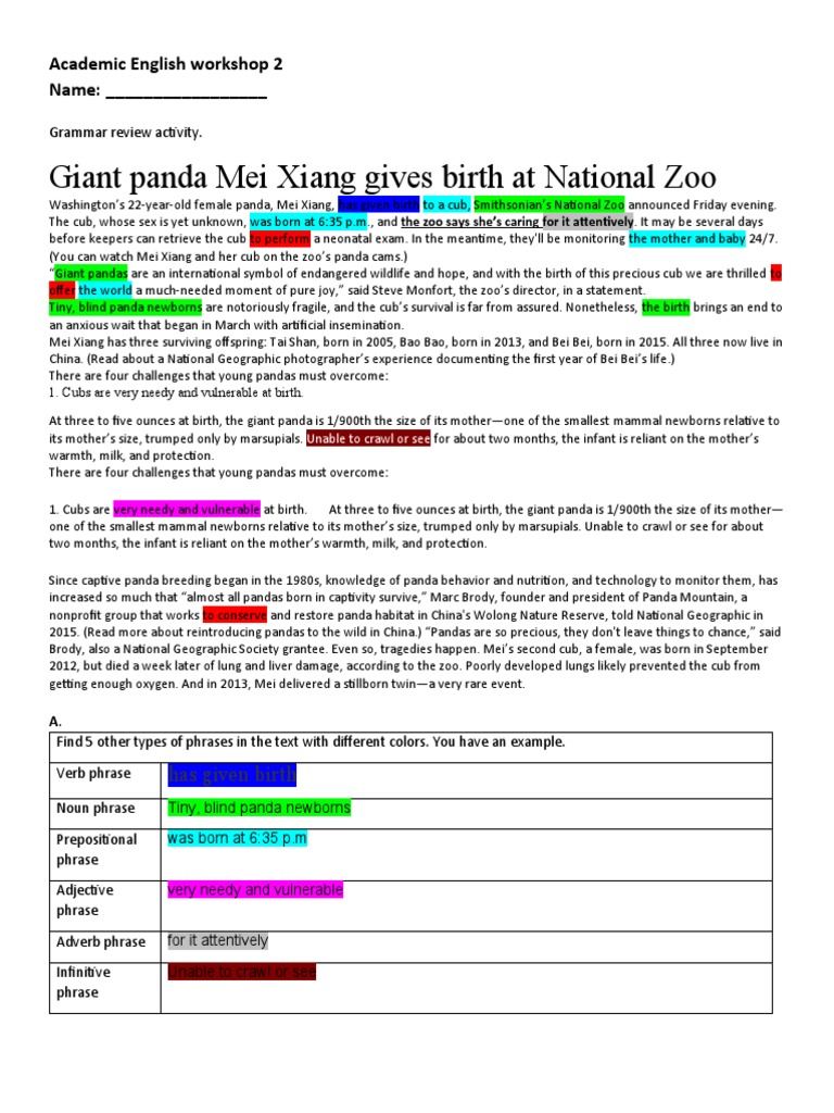 Grammar Review | PDF | Giant Panda | Syntactic Relationships