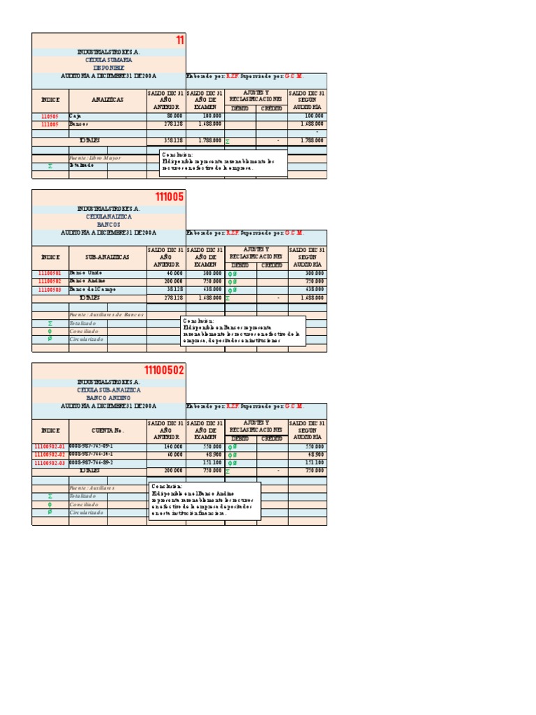 Cédulas de Auditoría - Imprimir | PDF