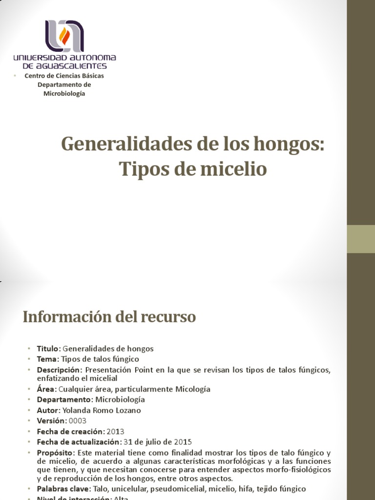 Generalidades de Los Hongos | PDF | Hongo | Micología