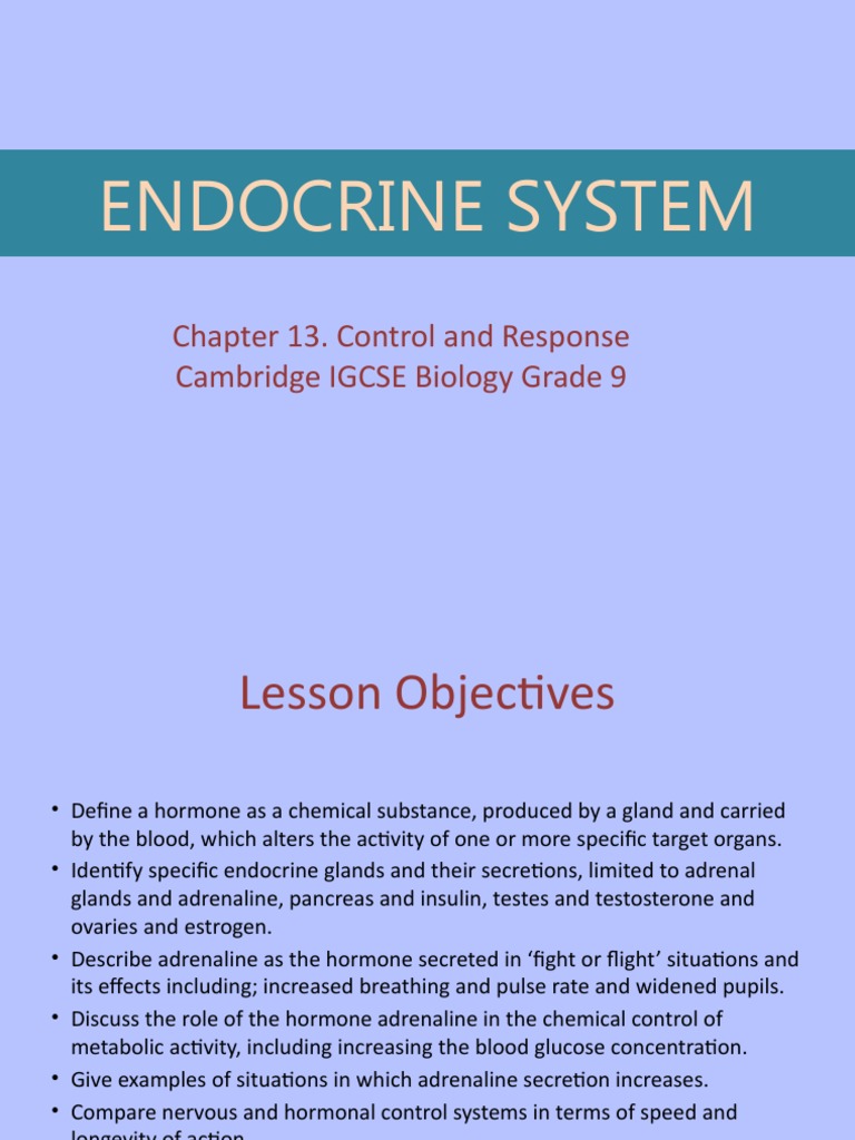 Endocrine System Overview for IGCSE | PDF | Hormone | Endocrine System