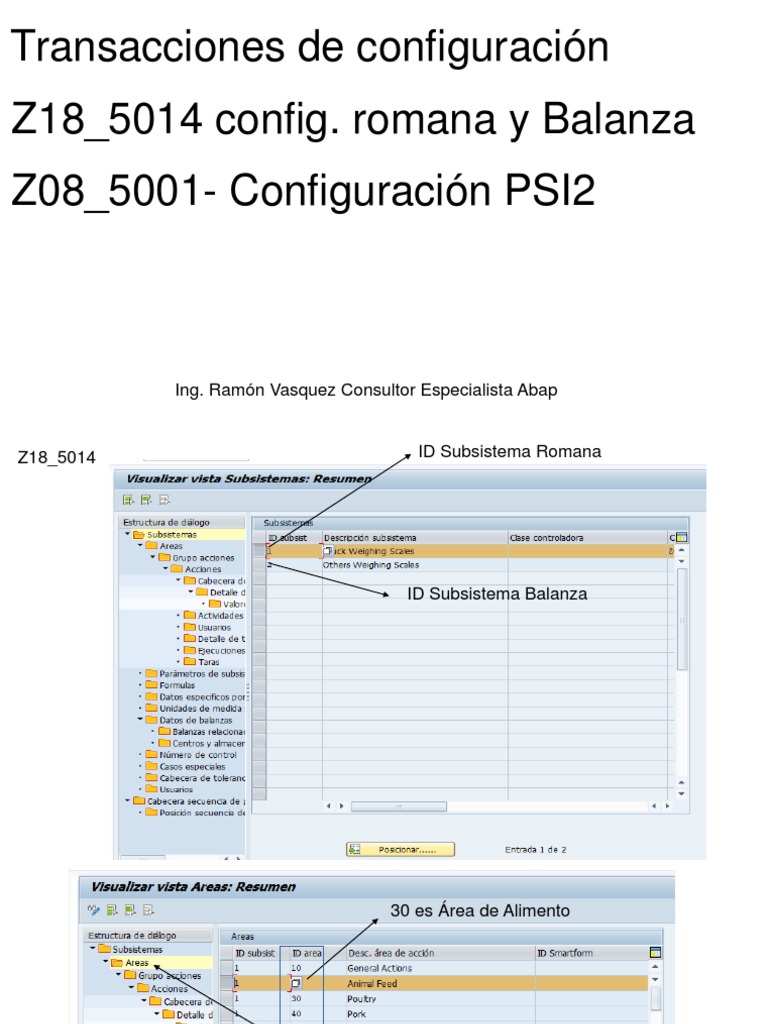 Taller Configuración Romana-PSI2 | PDF | Informática | Informática y tecnología de la información