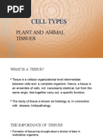 Grade 10 Life Sciences Guide | PDF | Tissue (Biology) | Branches Of Botany
