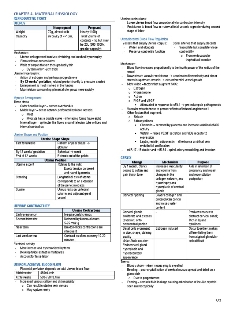 Maternal Physiology in Rats: Uterus & Ovaries | PDF | Blood Pressure ...