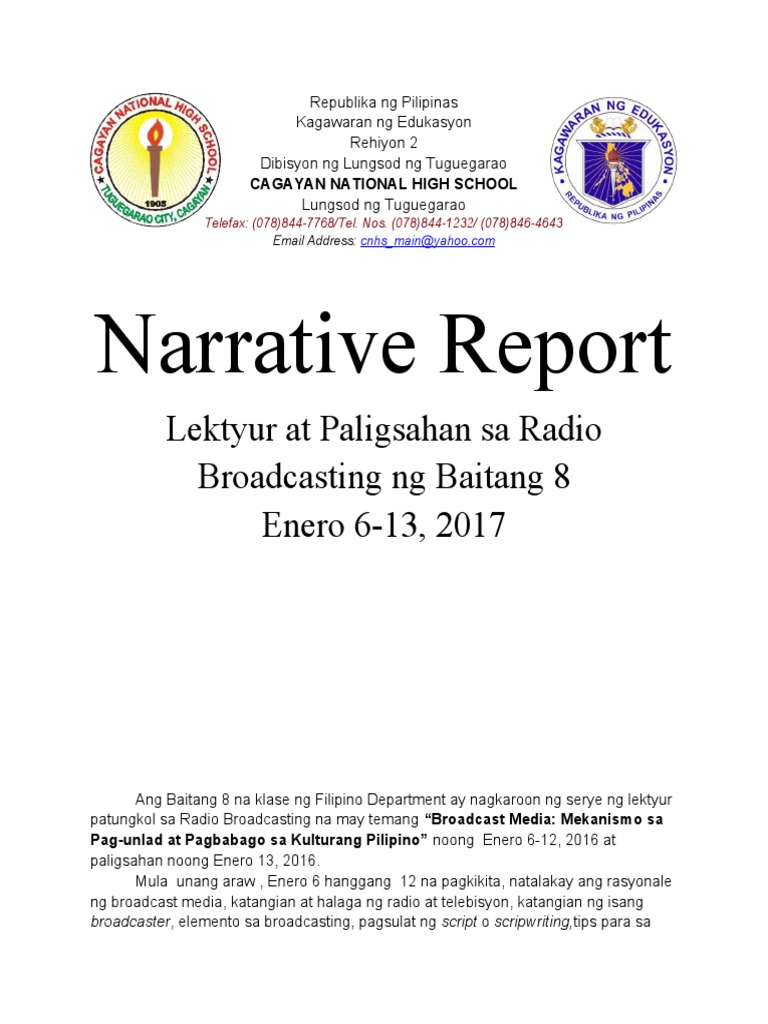 Pinky Narrative Report | PDF