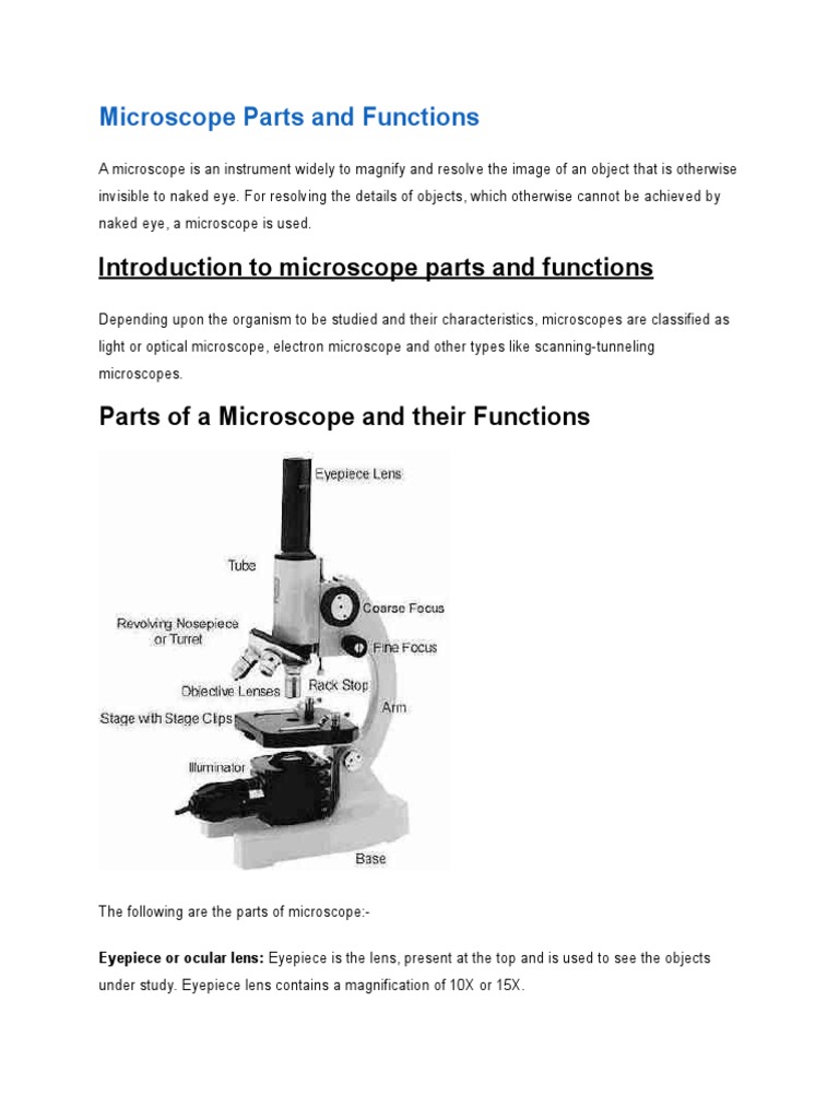Microscope Parts and Functions | PDF