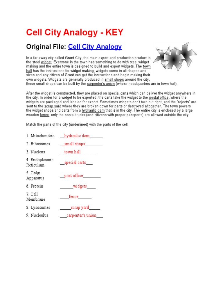 Cell City Analogy Key | PDF
