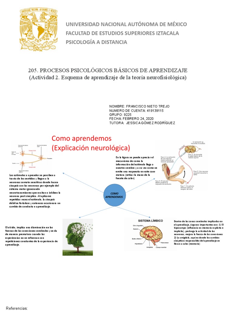 Procesos Psicológicos Básicos de Aprendizaje | PDF | Sinapsis | Cerebro