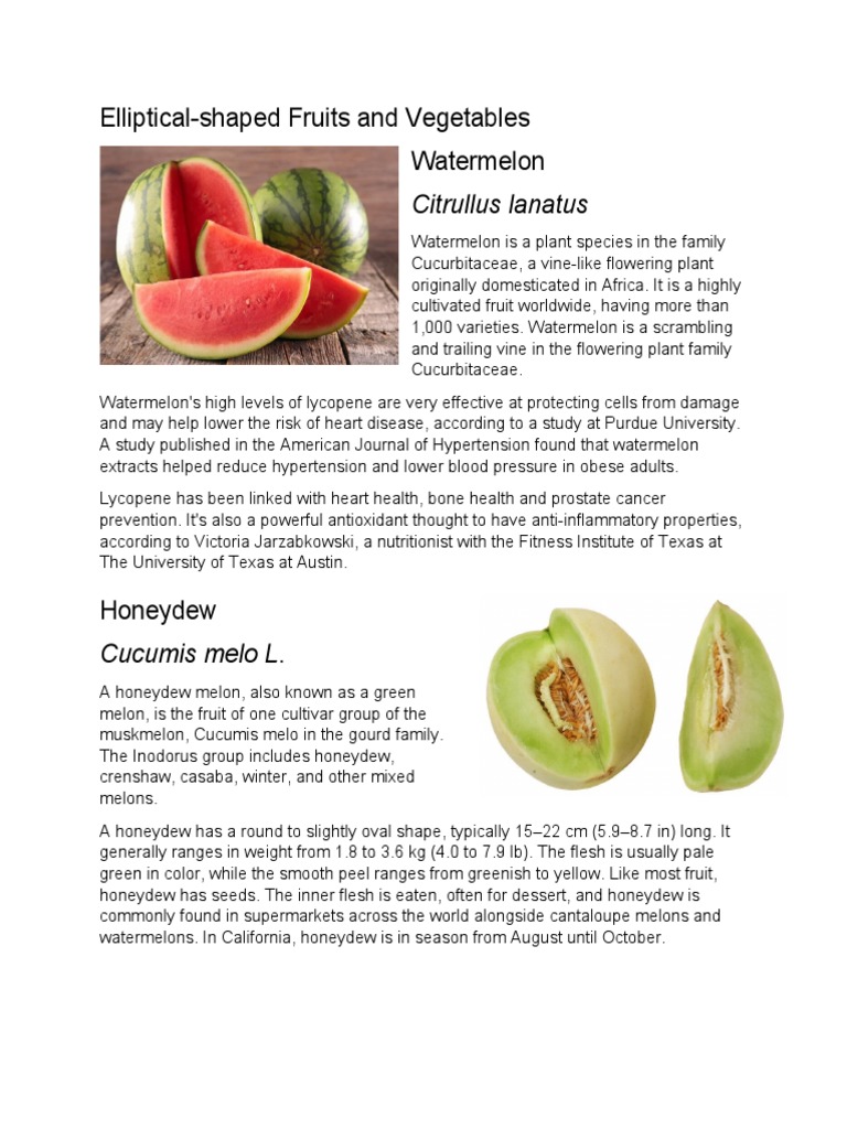 Watermelon: Properties and Classification | PDF | Orange (Fruit ...