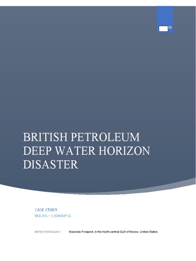 Governance - Case Study | PDF | Deepwater Horizon Oil Spill | Bp