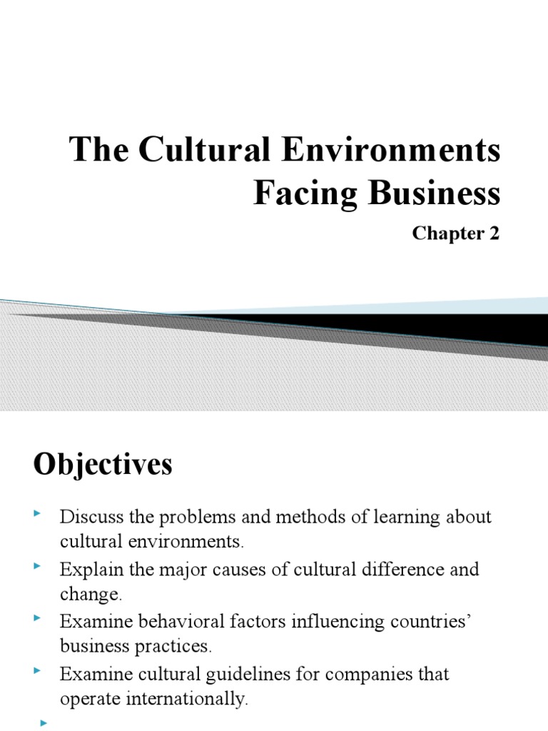 Understanding Cultural Environments in Business | PDF | Social ...