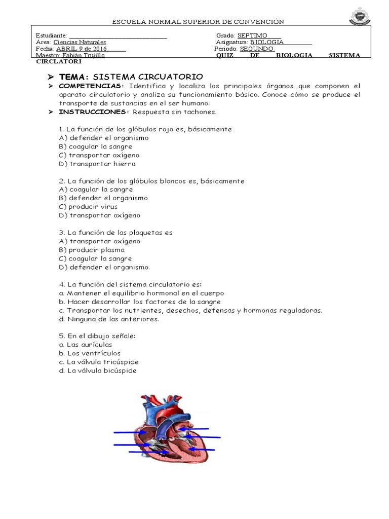 Quiz sobre el Sistema Circulatorio | PDF | Ciencias sociales | Ciencia ...