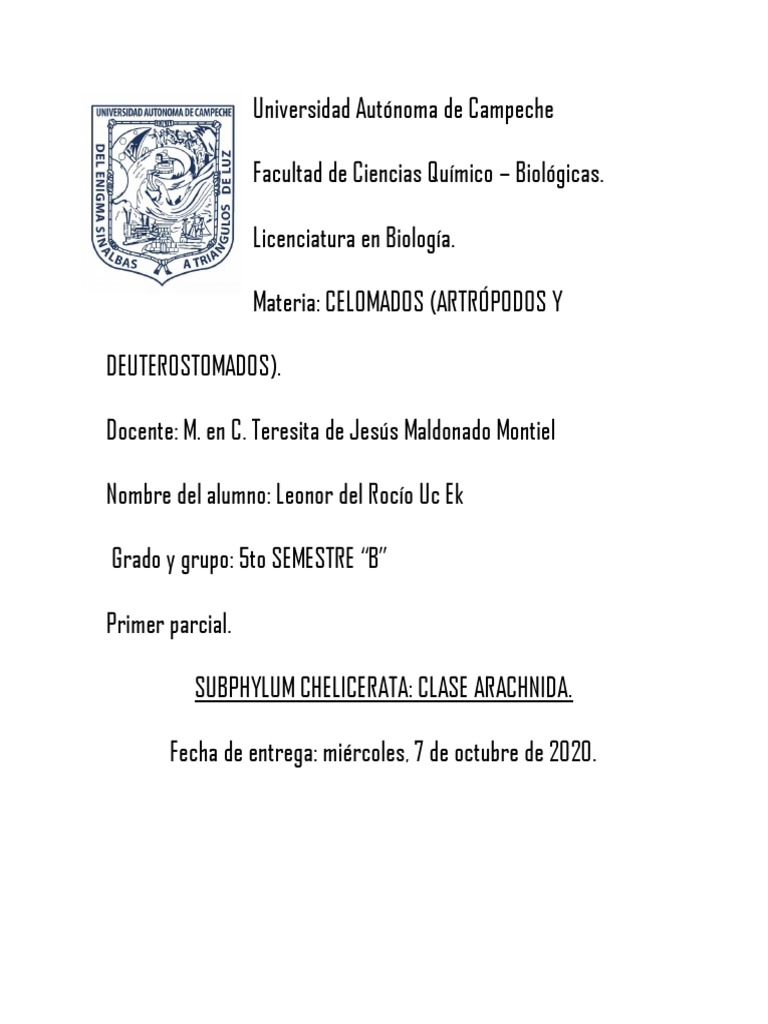 Palpigradi y Schizomida: Morfología y Función | PDF | Zoología ...