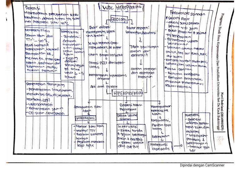 Woc Hiperpireksia Novi Indriani PDF | PDF