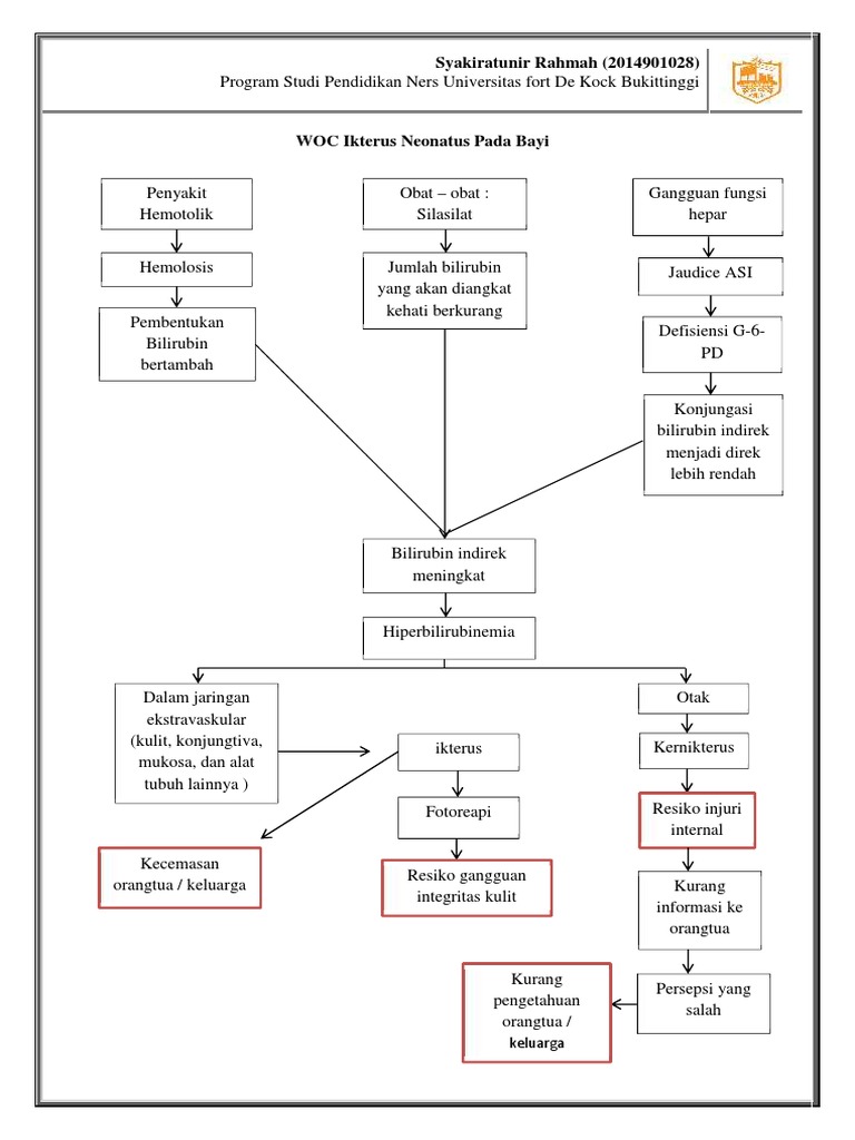Ikterus Neonatus: Panduan Orangtua | PDF