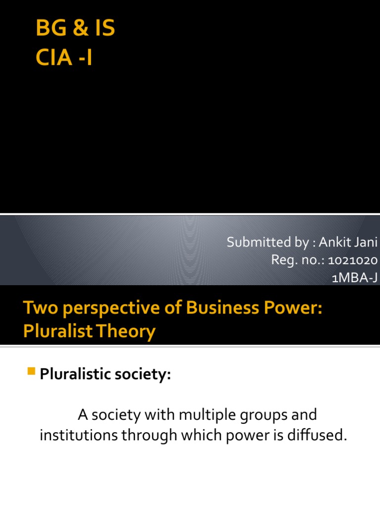 Understanding Pluralist Business Power | PDF