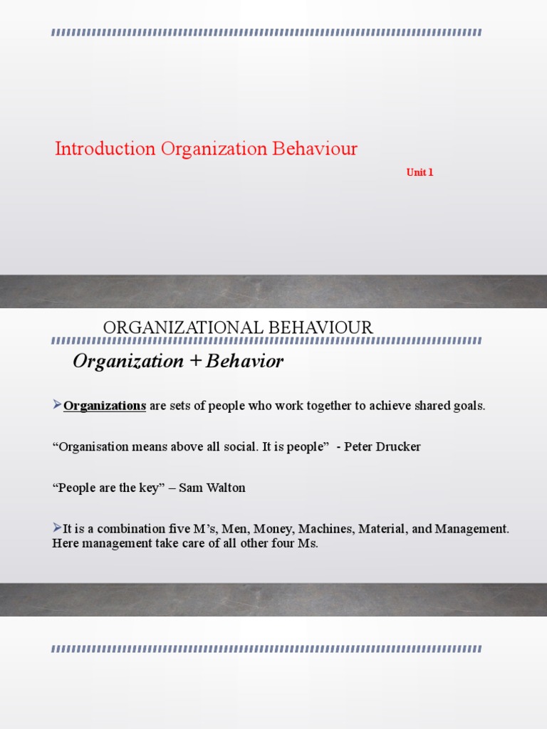 Unit 1 Introduction To OB | PDF | Organizational Behavior | Behavior