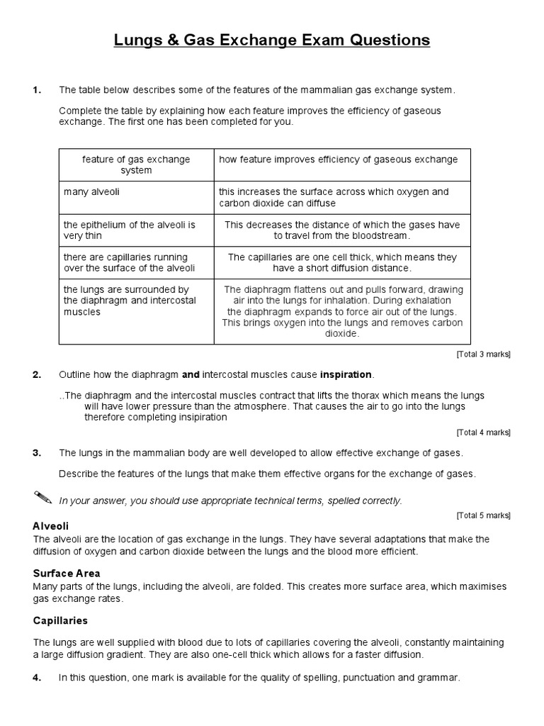 7.2 Lungs - Gas Exchange Exam Questions | Download Free PDF | Lung ...