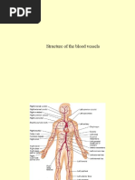 The Modified Sarnat Score in The Assessment of Neonatal Encephalopathy ...