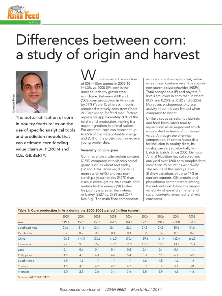 Differences Between Corn: A Study of Origin and Harvest | PDF | Cereals ...