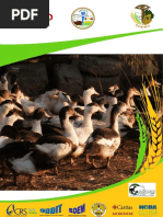 Fiompiana Akoho Gasy Nohatsaraina | PDF