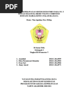 Asuhan Keperawatan Combustio Grade II | PDF