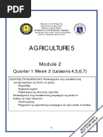 EPP 5 Agri Aralin 8 | PDF