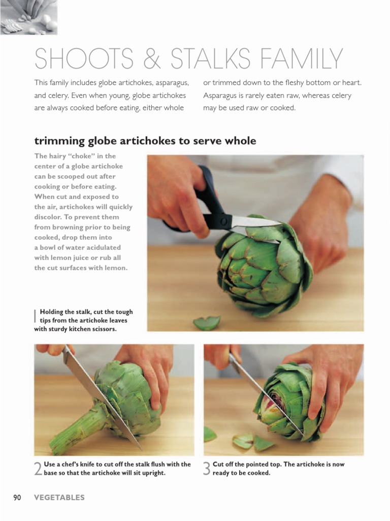 Shoots & Stalks Family | PDF