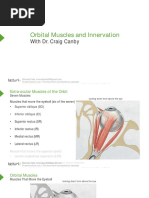 Mnemonic For Eye | PDF