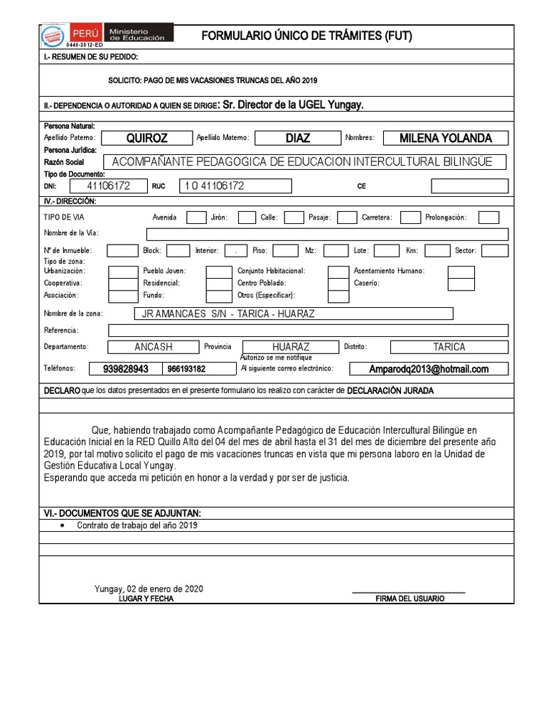 Fut - Llenado 2019 | PDF | Educación avanzada | Business