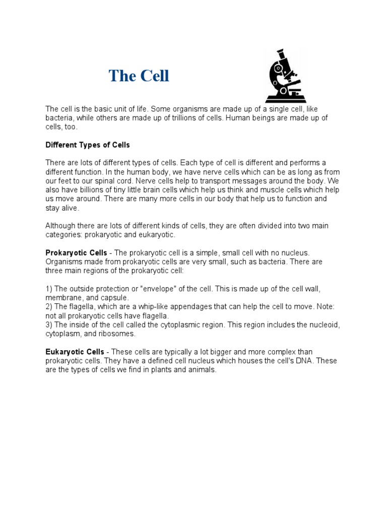The Cell: Different Types of Cells | PDF | Mitosis | Ploidy