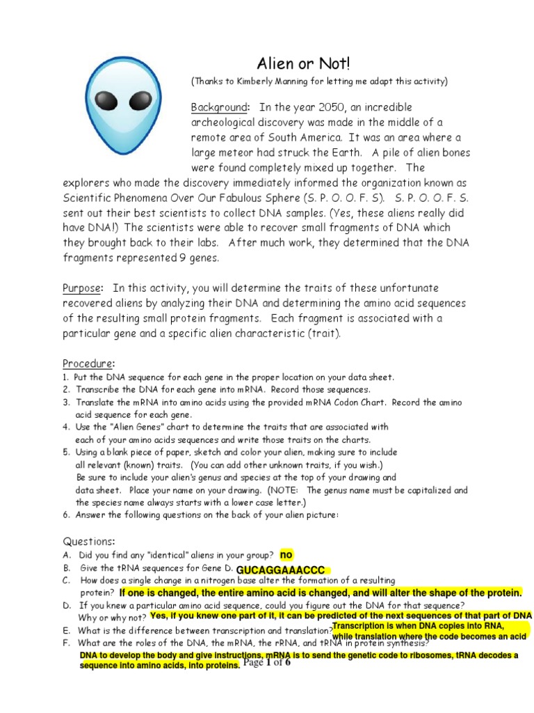 Alien DNA Analysis Activity | PDF | Translation (Biology) | Nucleotides