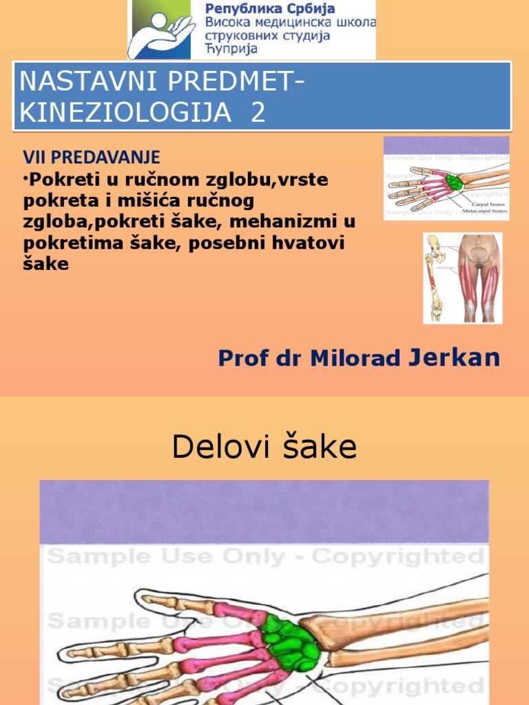 7.kineziologija II 7.pokreti U Rucnom Zglobu, Vrste Pokreta I Misici ...