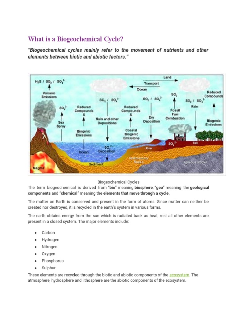 What Is A Biogeochemical Cycle? | PDF | Ecosystem | Water