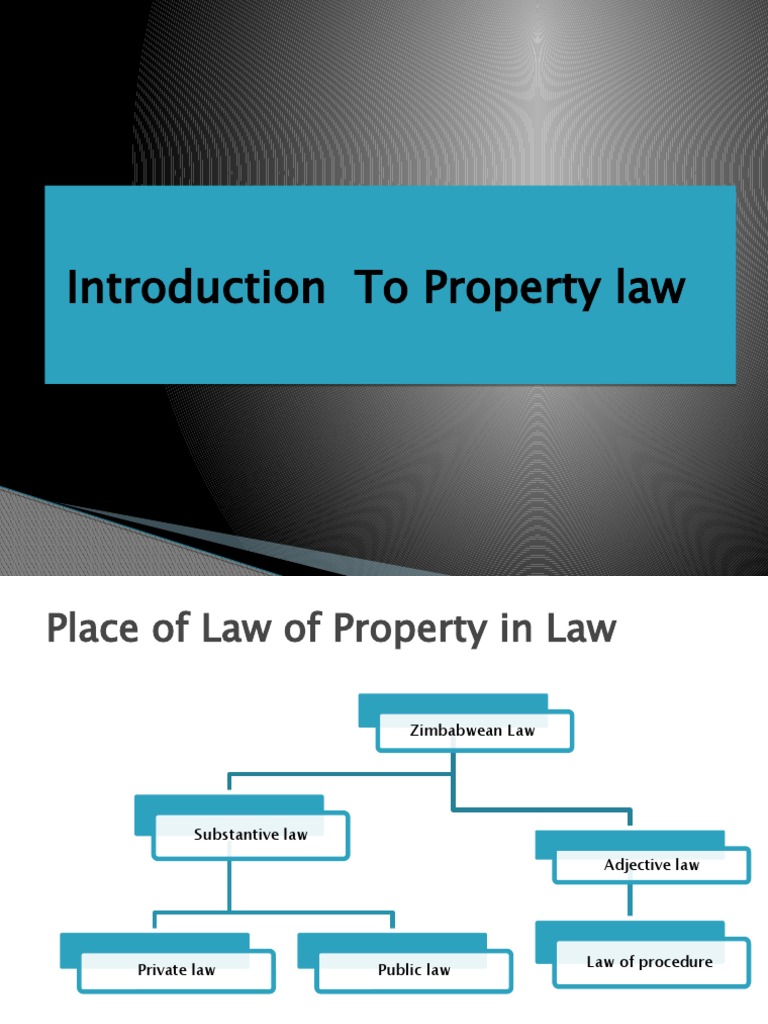 Law of Property Slides 1 | PDF | Ownership | Legal Remedy