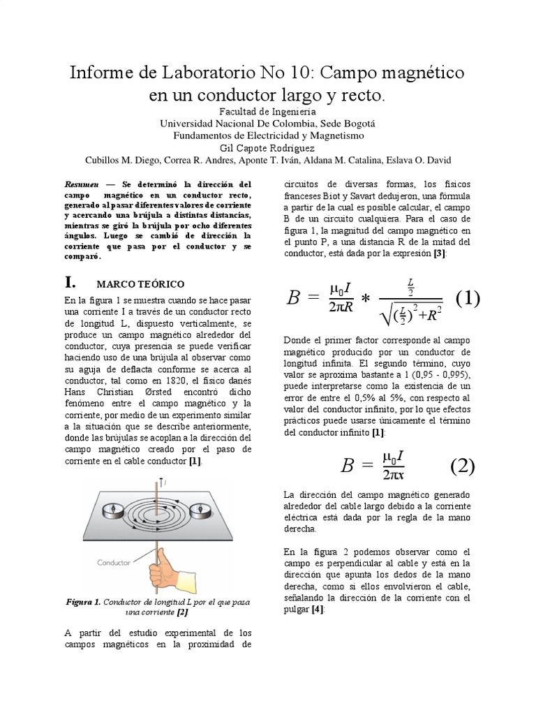 Informe 10 Campo Magnetico en Un Conductor Largo y Recto | PDF | Campo ...