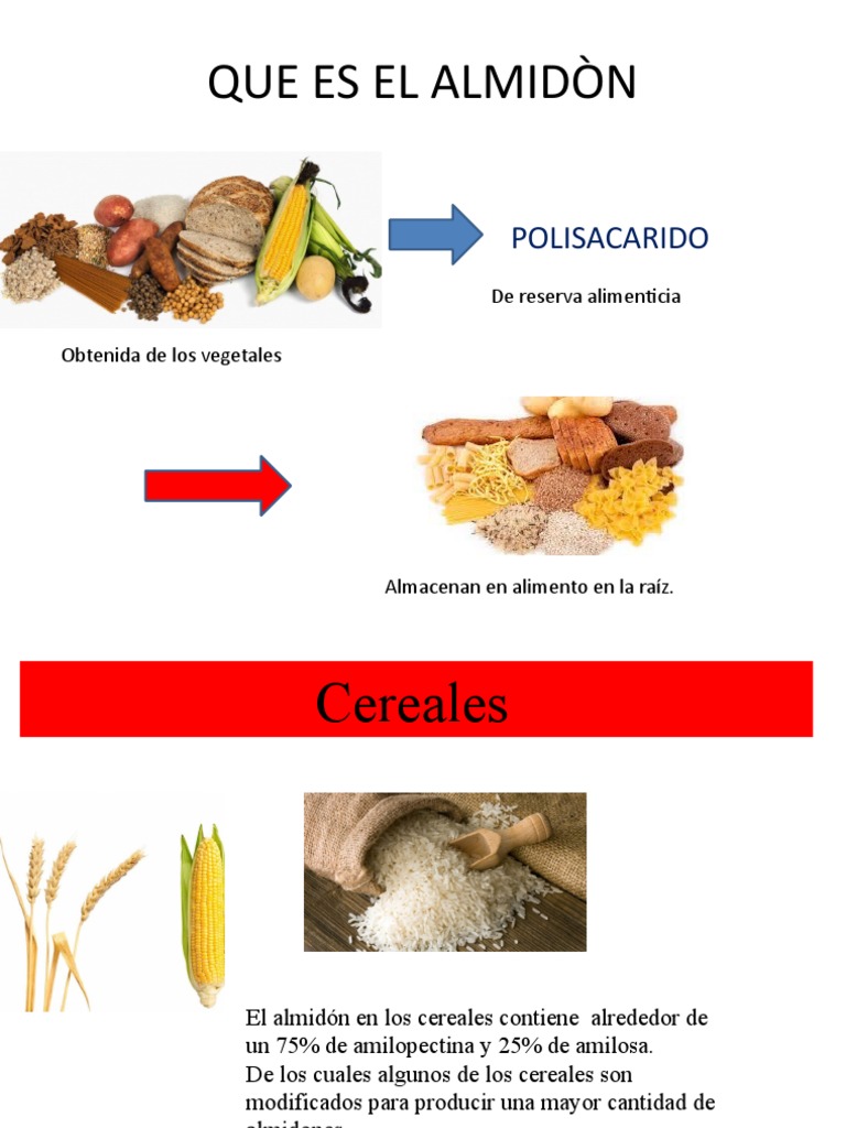 Que Es El Almidòn | PDF