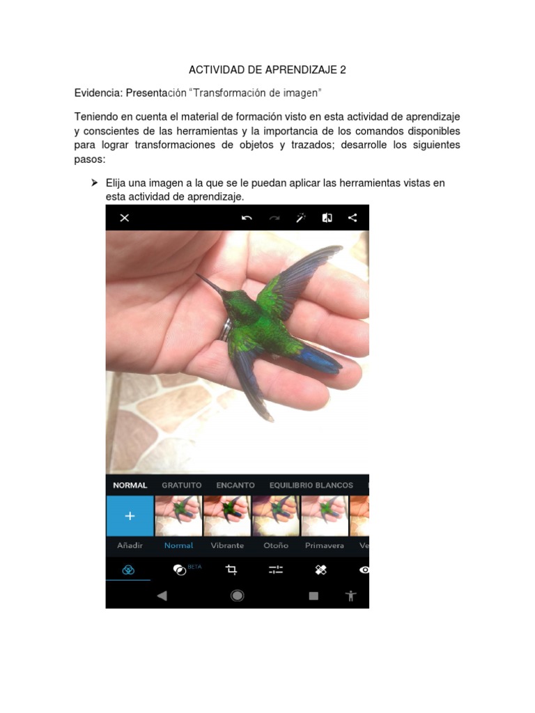 ACTIVIDAD Collaje PDF | PDF | Informática