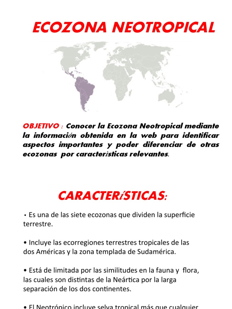 Características de la Ecozona Neotropical | PDF | Selva | Ciencias de ...