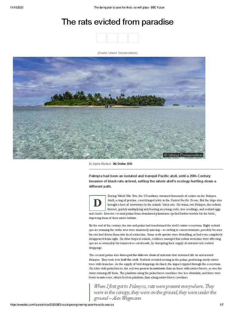 Rats Evicted From Paradise | PDF | Coral Reef | Seabird
