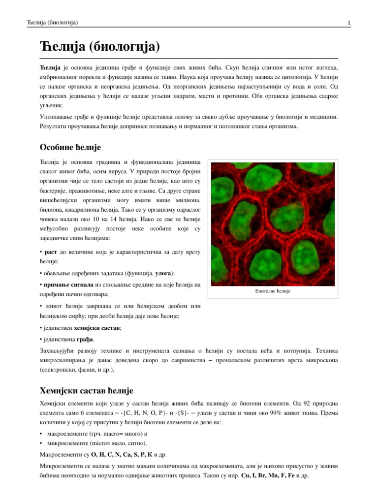 Celija | PDF