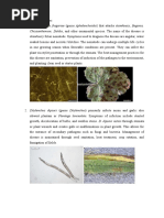 Nematode Species and Common Names List | PDF | Parasites | Plants