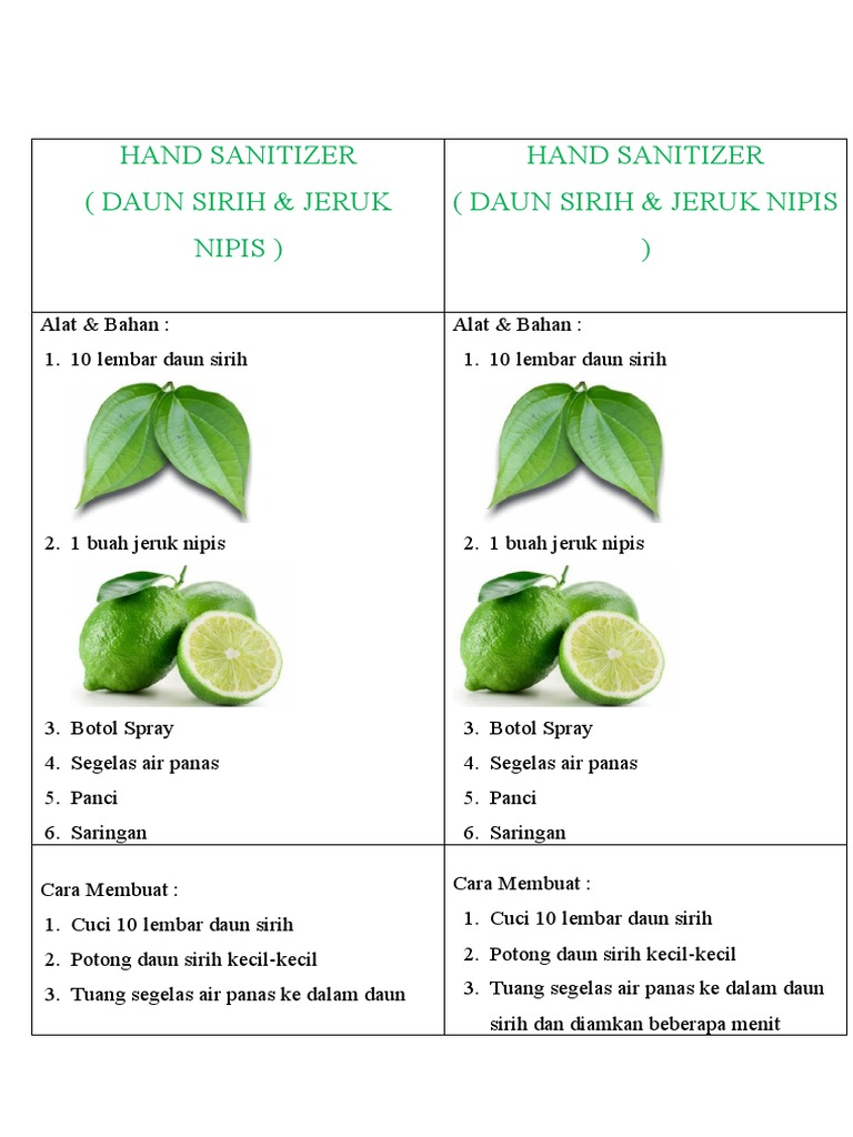 Buku Panduan Hand Sanitizer | PDF