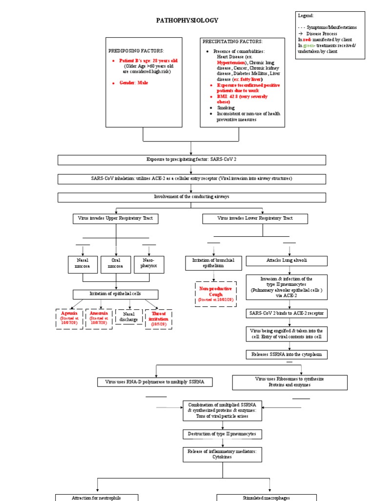 Pathophysiology: Patient B's Age: 28 Years Old | PDF | Respiratory ...
