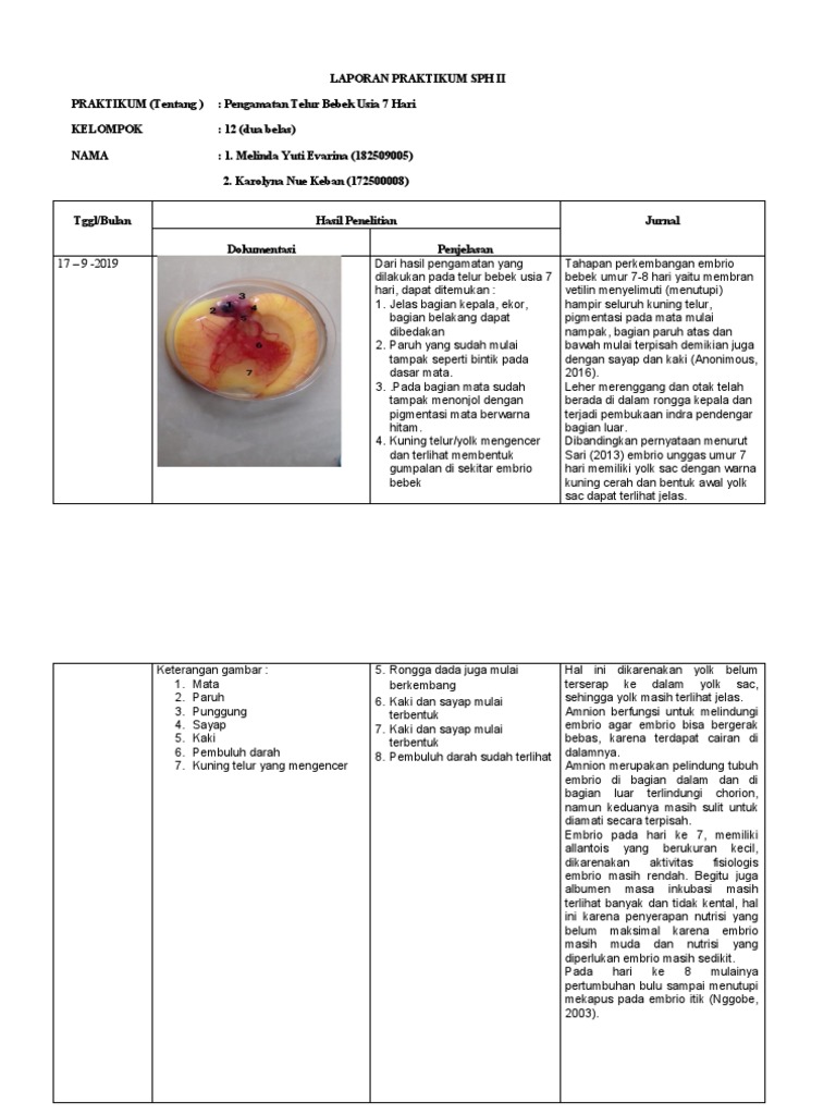 Format Laporan SPH | PDF