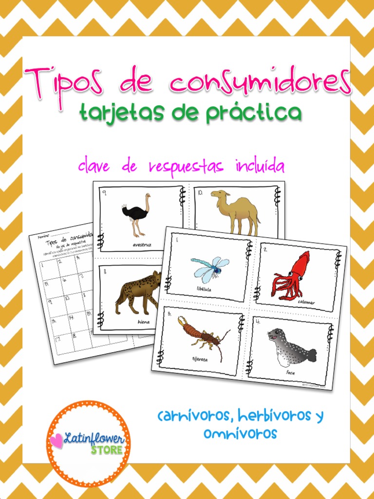 Tarjetas de Práctica: Clave de Respuestas Incluída | PDF | Civil Law ...