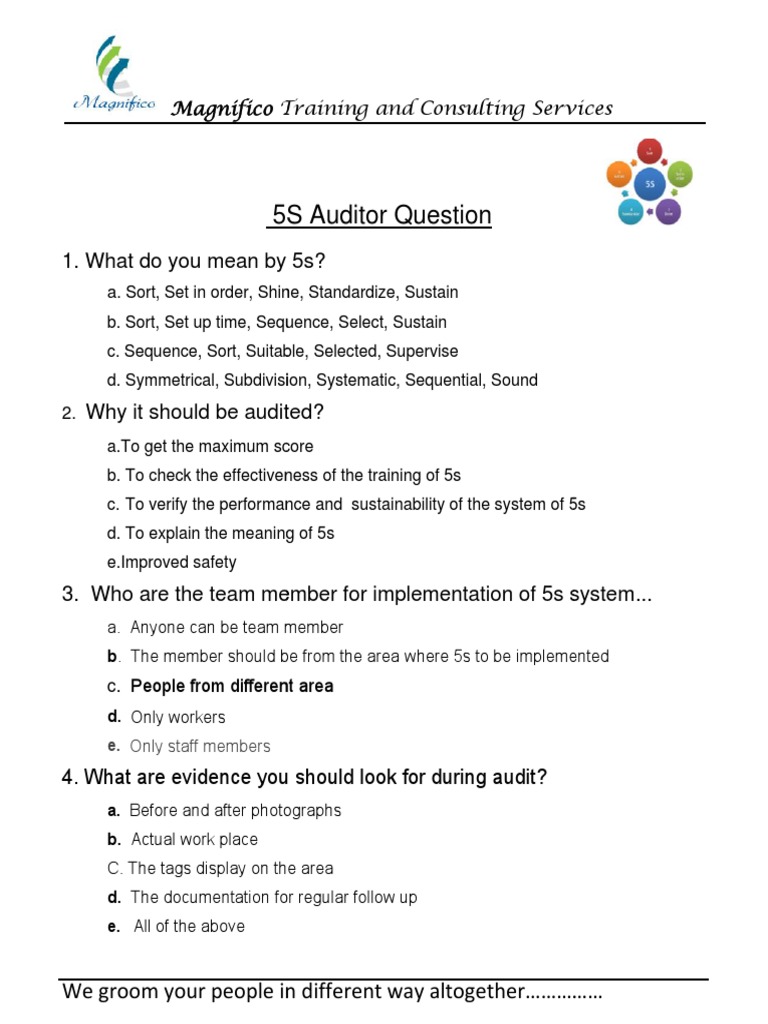 5s Auditor Questions | PDF | Auditor's Report | Audit
