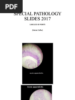 Pathoma Fundamentals of Pathology | PDF