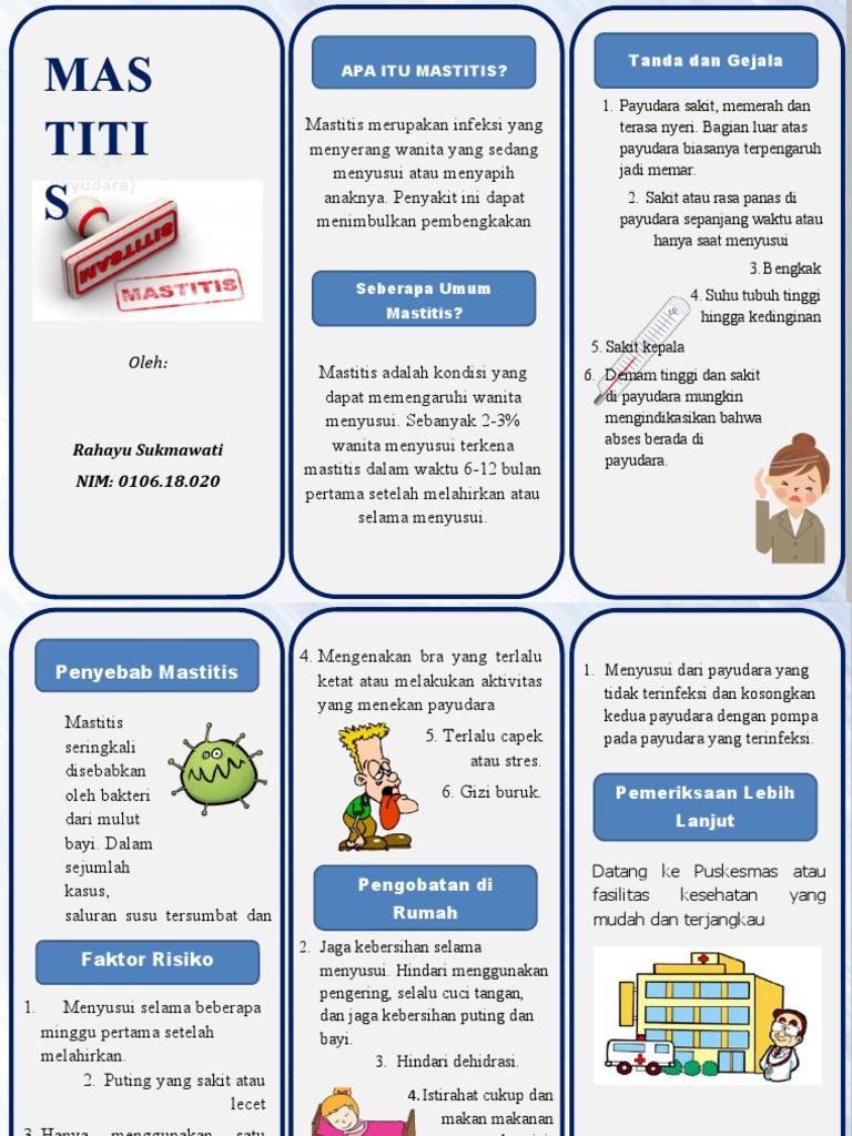 Leaflet Mastitis | PDF