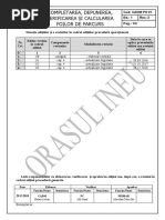 Model Foaie de Parcurs | PDF