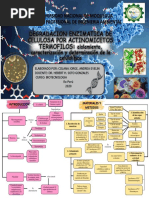Mapa Conceptual | PDF | Staphylococcus Aureus | Microbiología